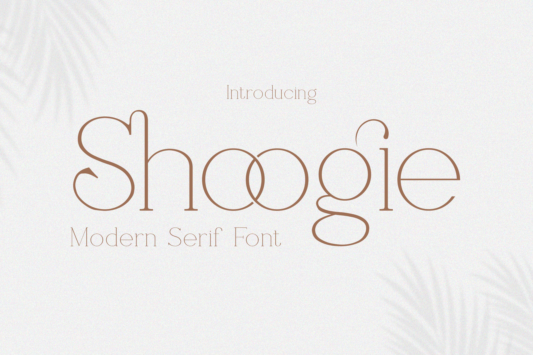 Shoogie Font by SlideShoot