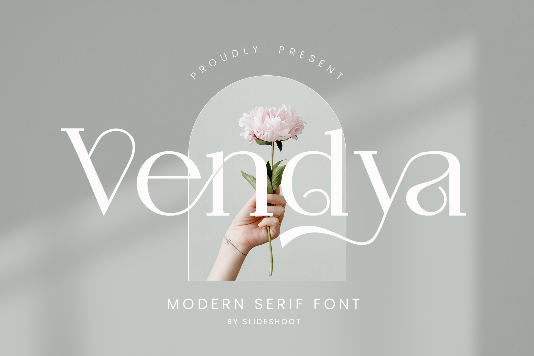 Vendya Font by SlideShoot